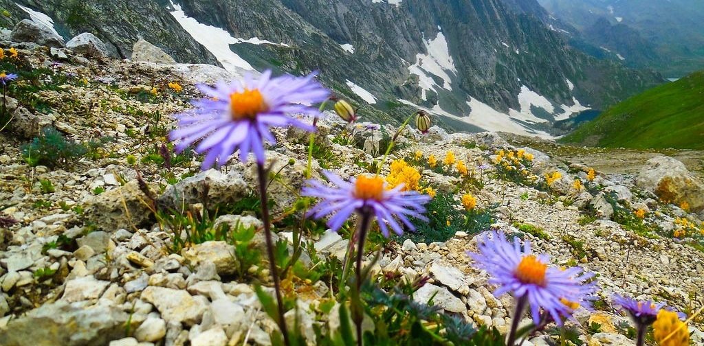 Trek Kashmir - Trekking in North Indian Himalayas
